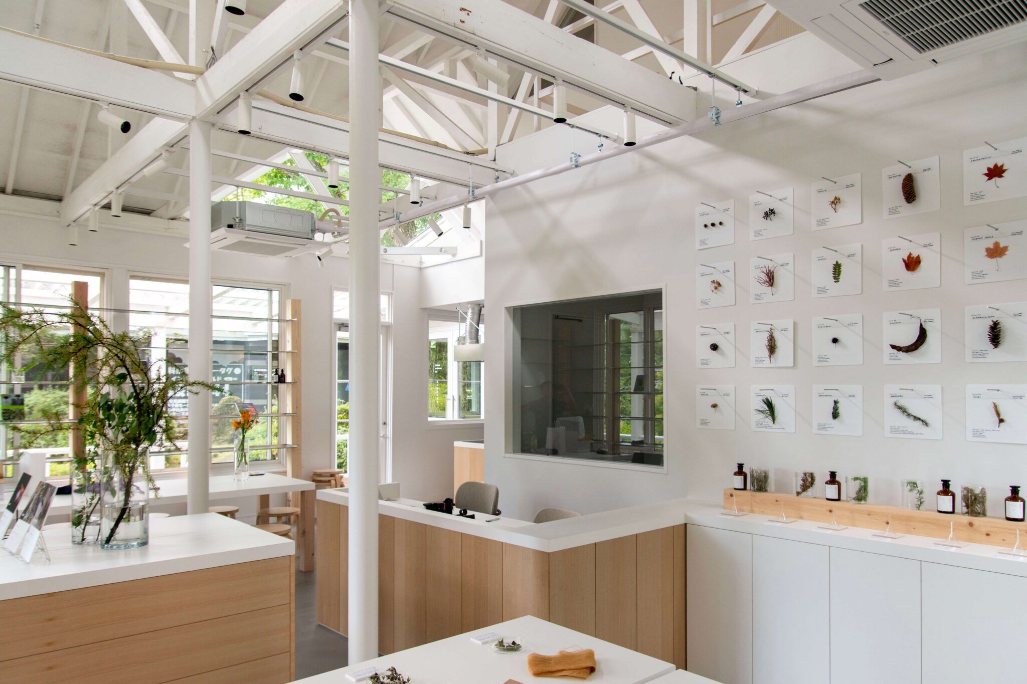 自然にふれて、遊んで学ぶ。「TENOHA蓼科」で豊かな家族時間を過ごそう！（PR） | ARURA（アルラ）